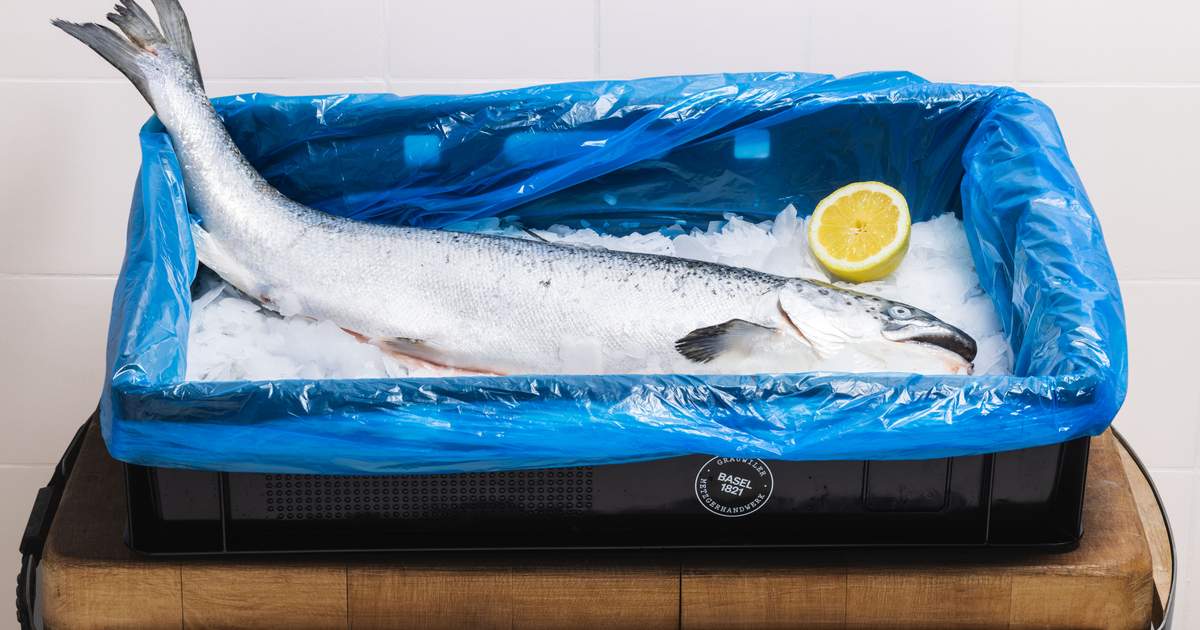 Fisch kaufen in Basel – garantiert fangfrisch | Grauwiler 1821 Basel